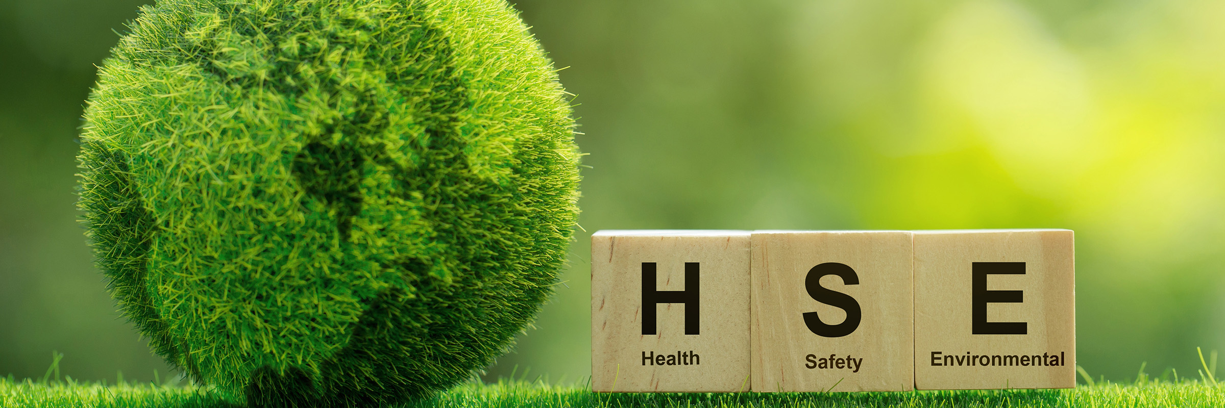 اچ اس اي - HSE - مادکو - ارائه دهنده خدمات HSE